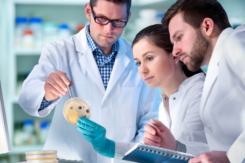 How To Study At The University The Best Method Of Study For Medicine How To Study At The University The Best Method Of Study For Medicine